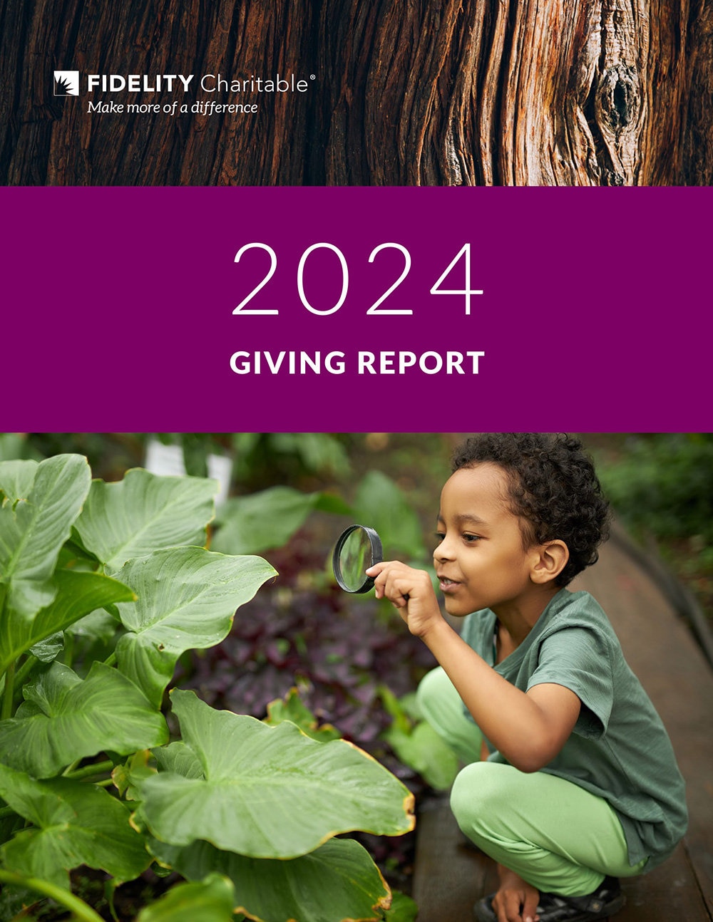 What is a Donor-Advised Fund? | Fidelity Charitable