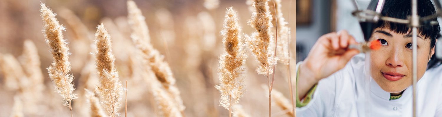 2024 Giving Report | Fidelity Charitable