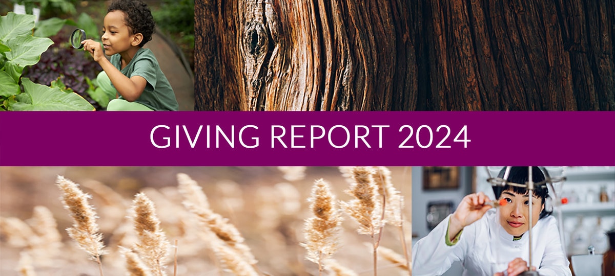 2024 Giving Report | Fidelity Charitable
